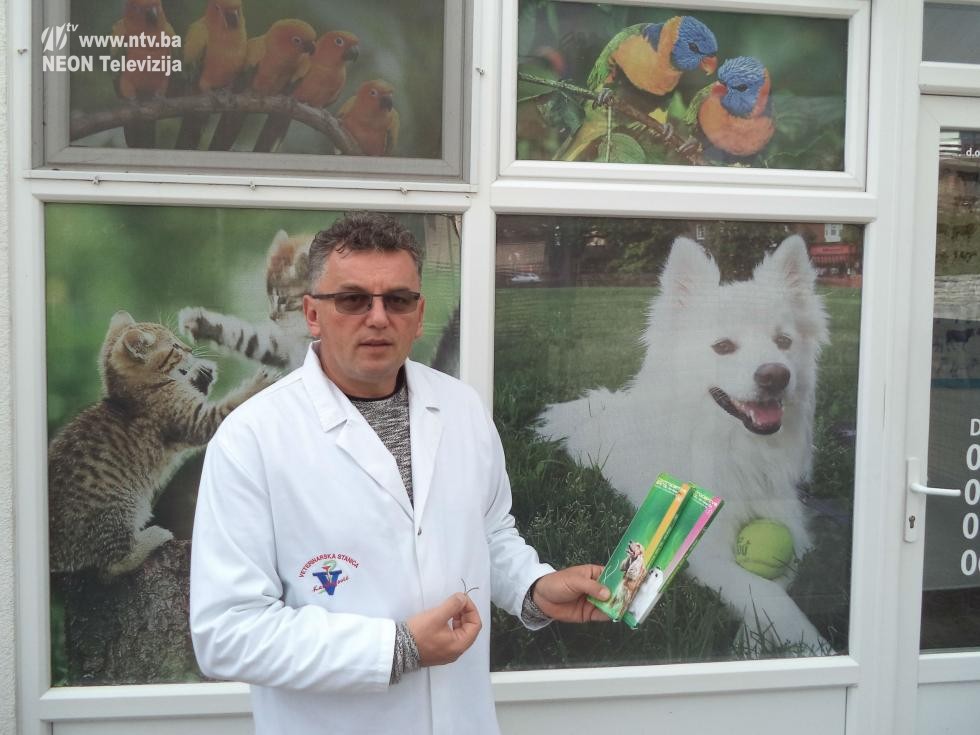 Karabegović: Imam humano rješenje za pse lutalice – NEON Televizija